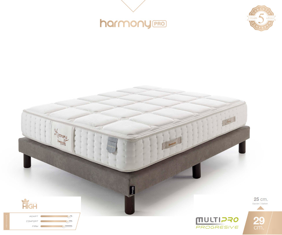 Essenzia Harmony - Hogares de Hoy